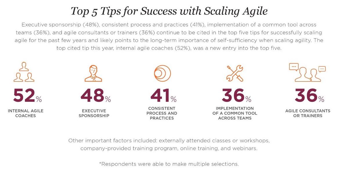 executivesponsorship | Agile Forest